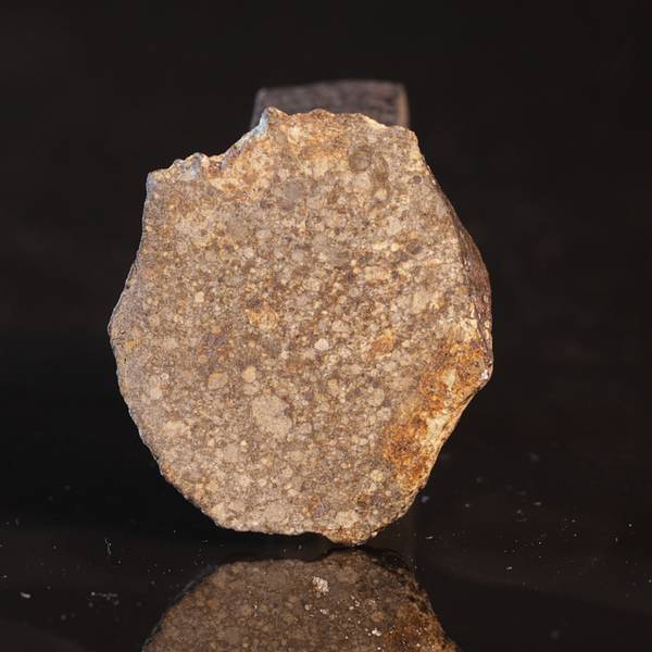 Meteoritter - Naturens Mangfold AS